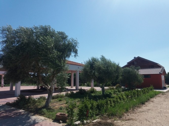 ΕΠΙΣΚΕΨΙΜΟ ΑΓΡΟΚΤΗΜΑ ΜΕ ΥΠΑΙΘΡΙΟ ΧΩΡΟ ΕΚΔΗΛΩΣΕΩΝ - Spaceprk